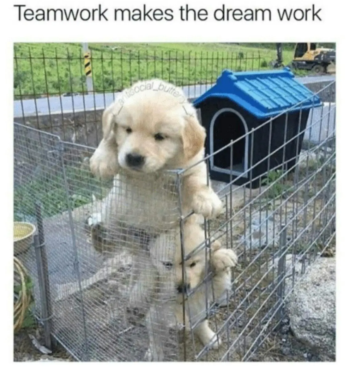 Monday Morning Memes – Fresh Memes Every Monday Morning