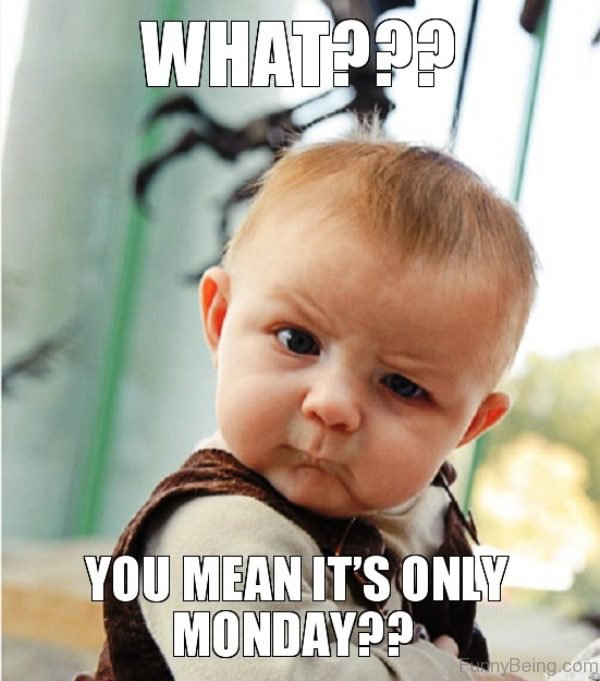 Monday Morning Memes – Fresh Memes Every Monday Morning
